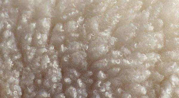 Houtvezel Isolatie {6x Voordelen - 2x Nadelen} | WarmerHuis